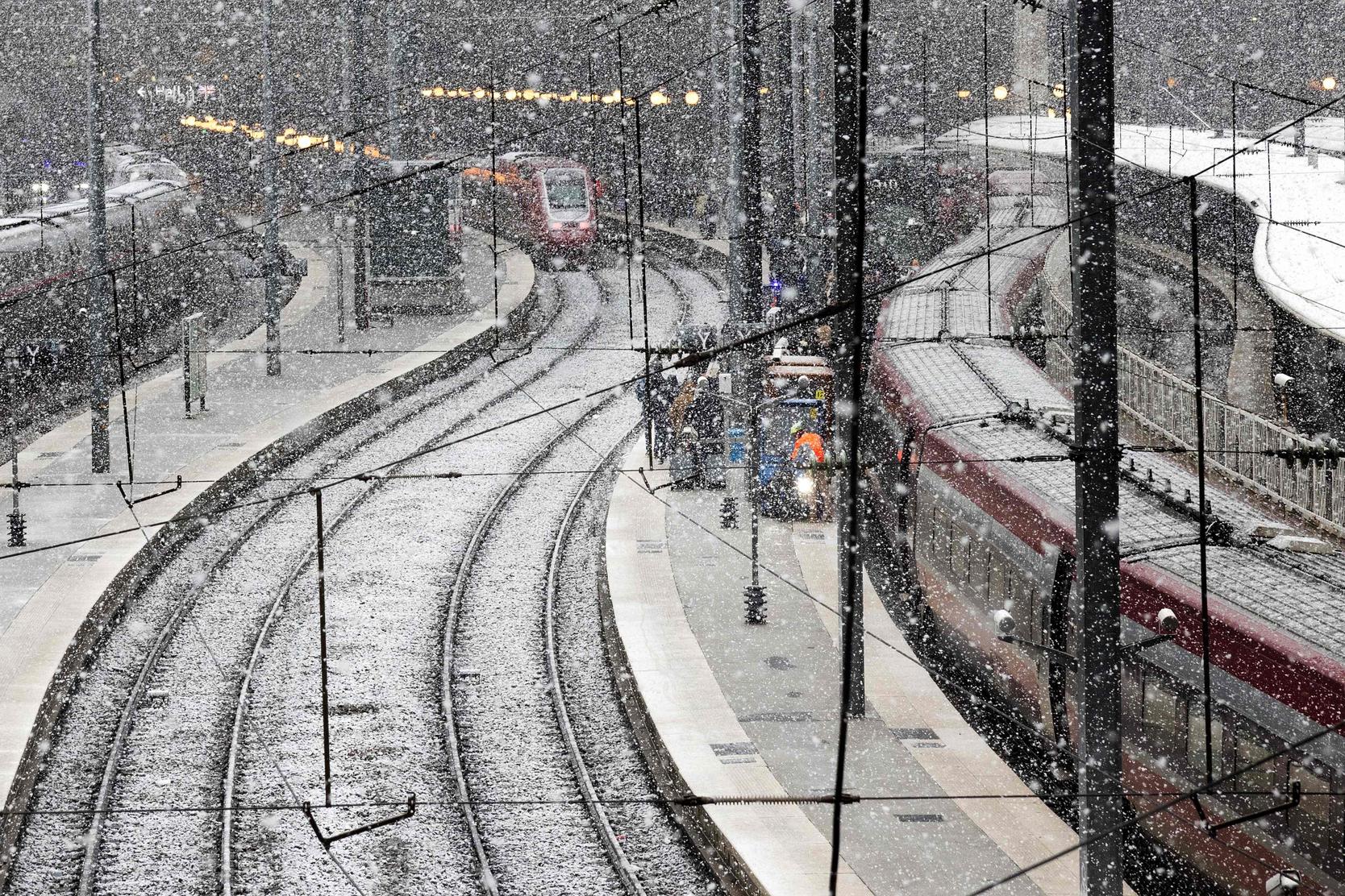 Snow in the city: Parisians wrap up as winter arrives in French capital