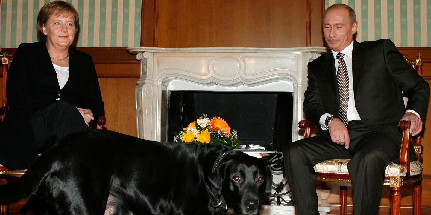 'Angela, forgive me': Putin denies intentionally scaring Merkel with dog