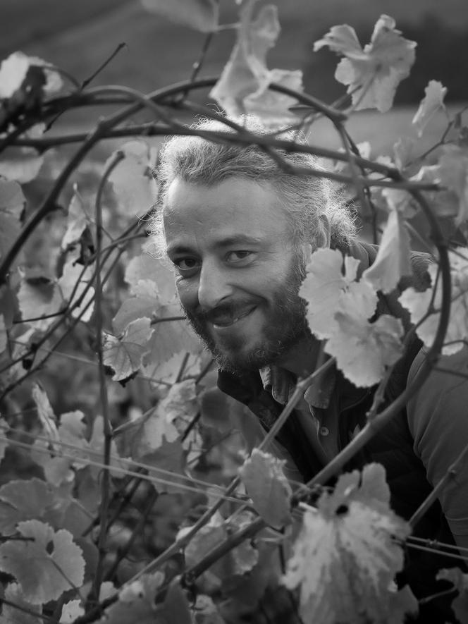 En Champagne, nos quatre domaines coups de cœur