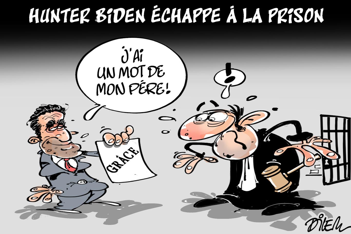 Vu par… Dilem