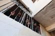 Fall of Bashar al-Assad - World news, culture and opinion