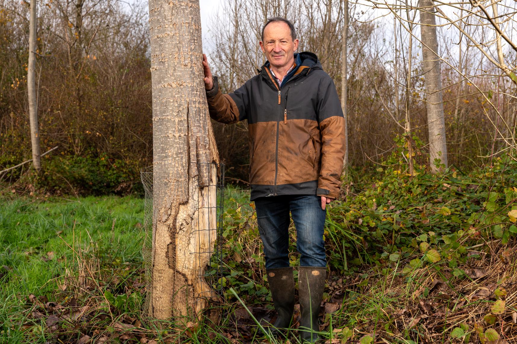 Le grand retour du castor, ce voisin parfois gênant mais bien utile