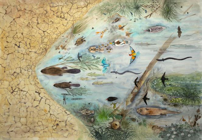 « Rendre l’eau à la terre » : Baptiste Morizot, le philosophe qui ...