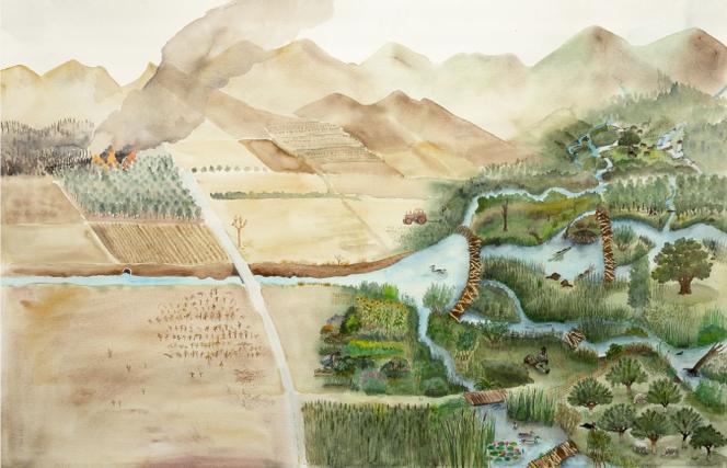 « Rendre l’eau à la terre » : Baptiste Morizot, le philosophe qui ...