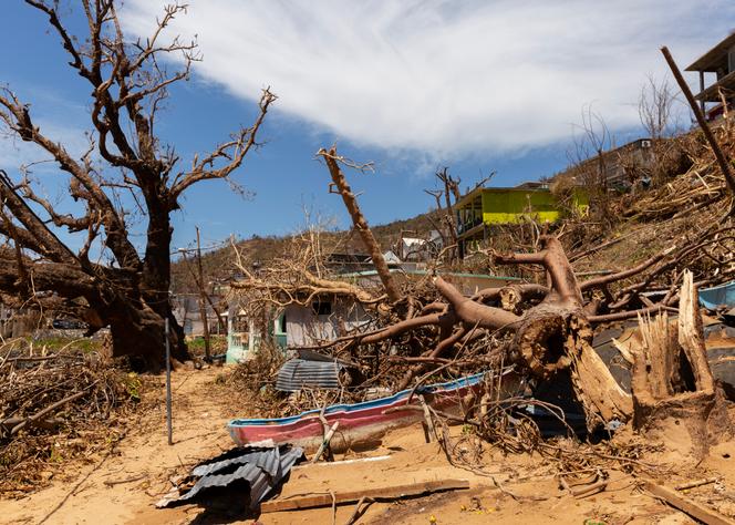Storm Dikeledi's torrential rains batter island of Mayotte, still ...