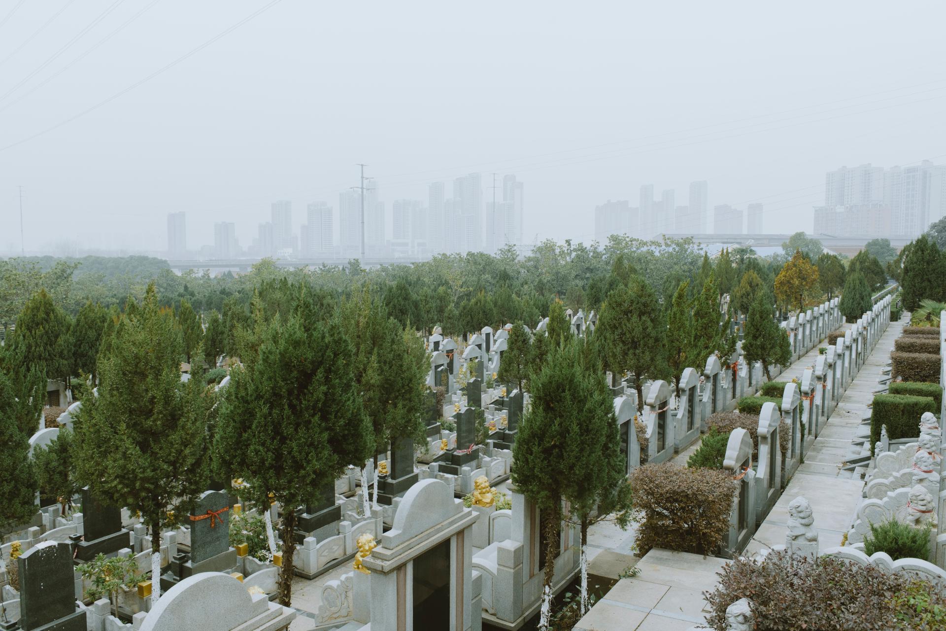 Five years after Covid's emergence, we return to Wuhan, the Chinese ...