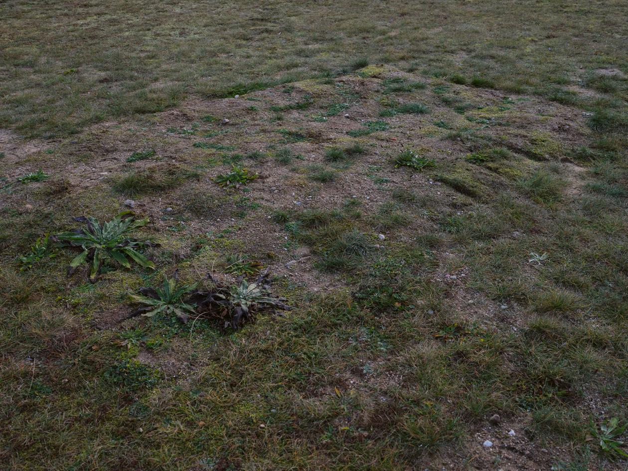 Horrors of Treblinka Nazi death camp gradually reemerge