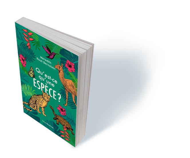 Nos choix de livres scientifiques : animaux, préhistoire, étoiles…