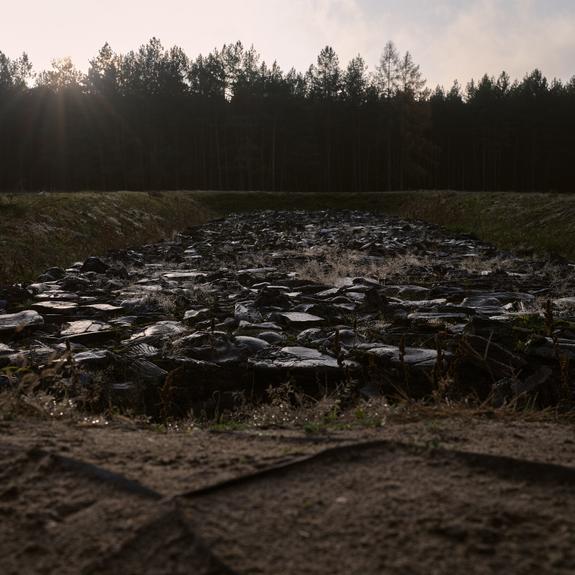 devastated in polish