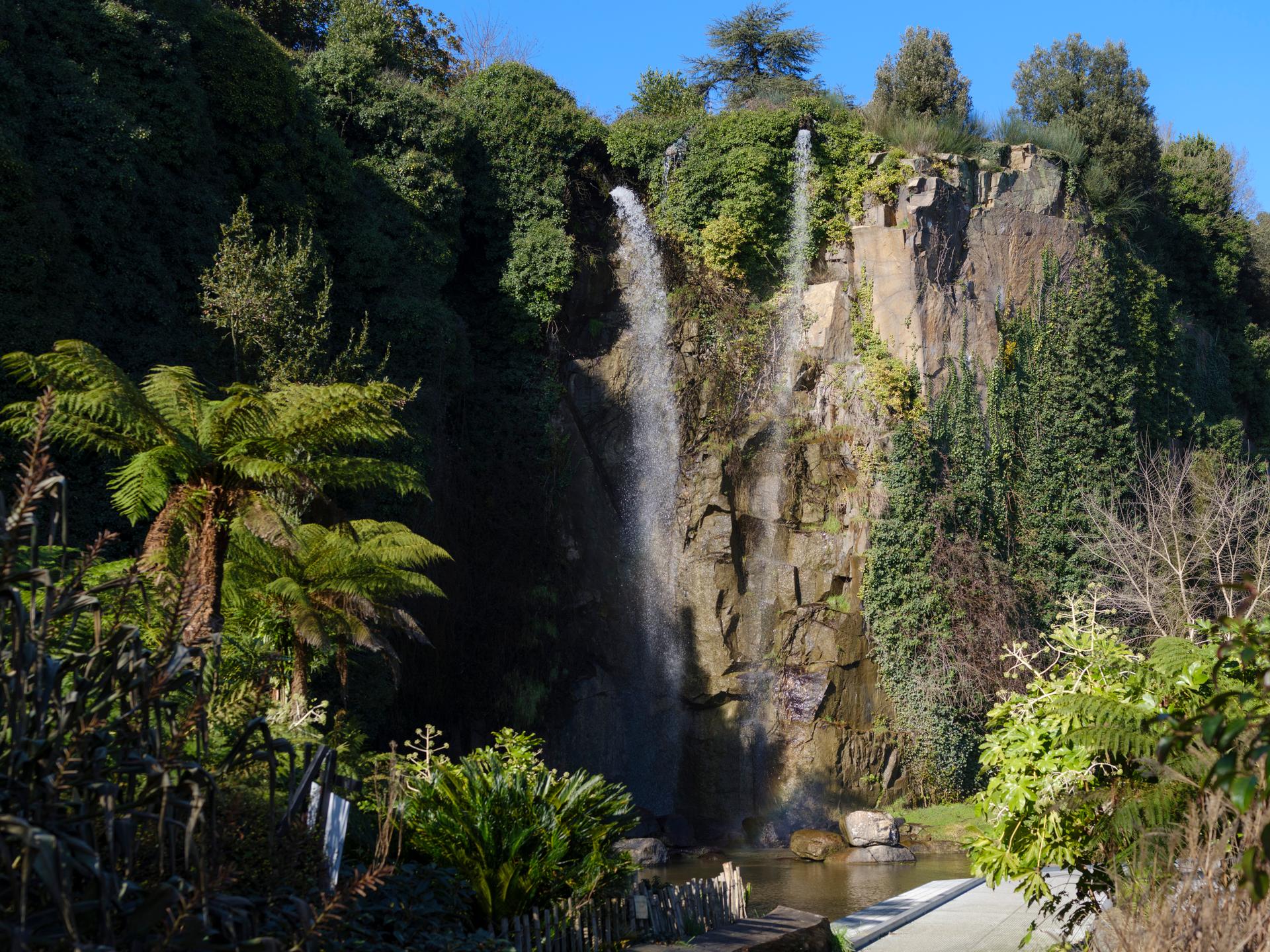 Une nature exubérante en plein cœur de Nantes