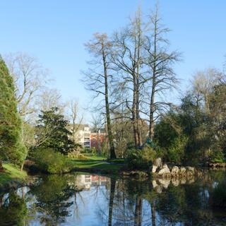Une nature exubérante en plein cœur de Nantes