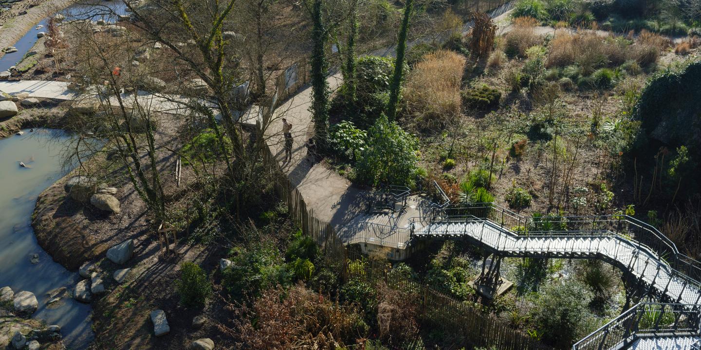 Une nature exubérante en plein cœur de Nantes