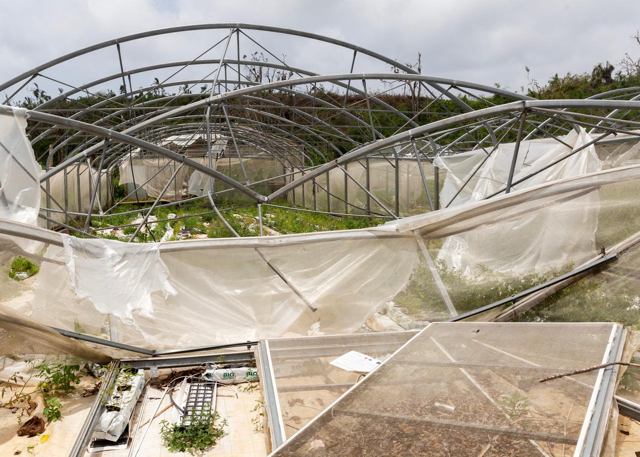 A Mayotte, le passage du cyclone Chido a « fait reculer de quinze ans ...