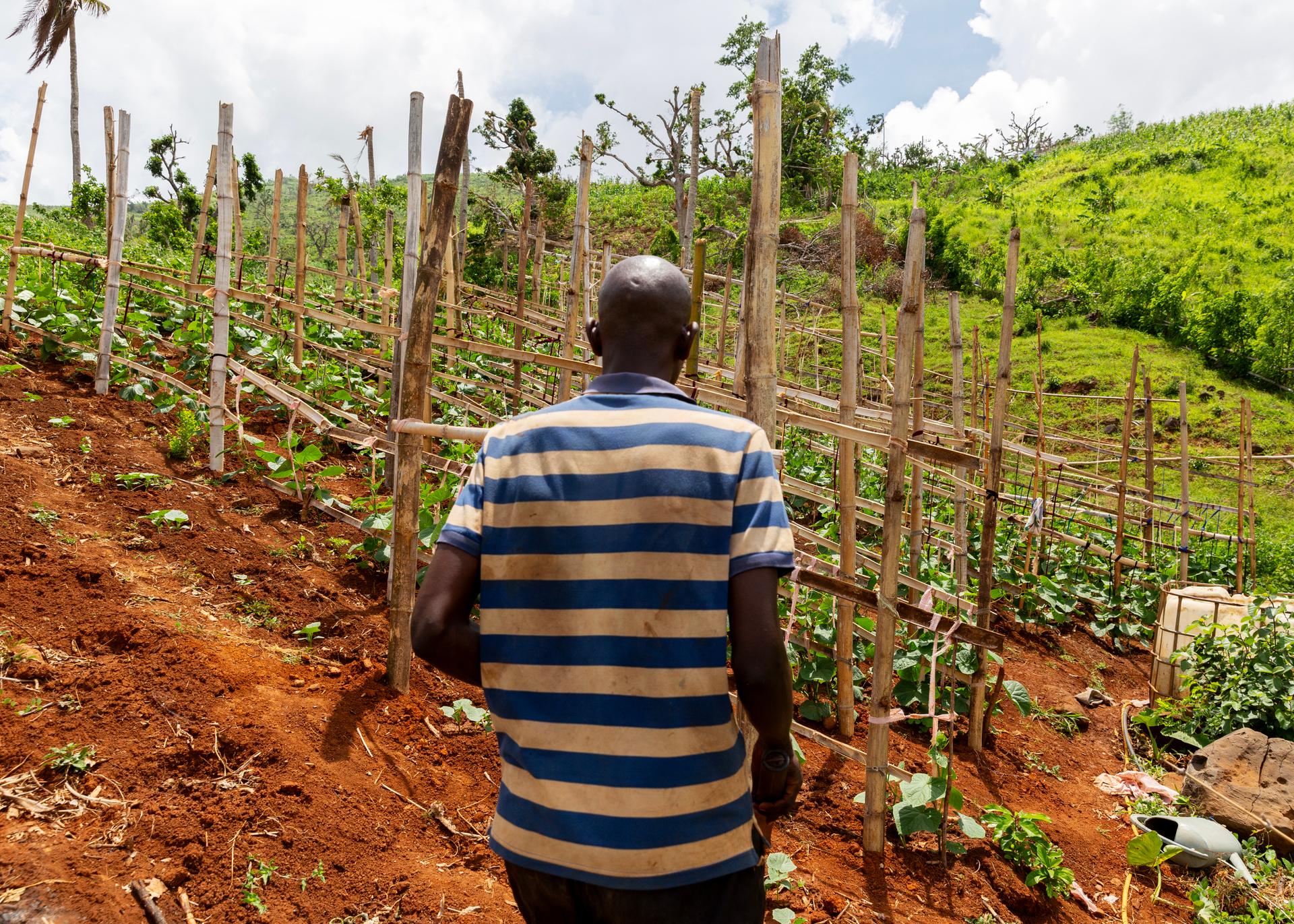 A Mayotte, le passage du cyclone Chido a « fait reculer de quinze ans ...