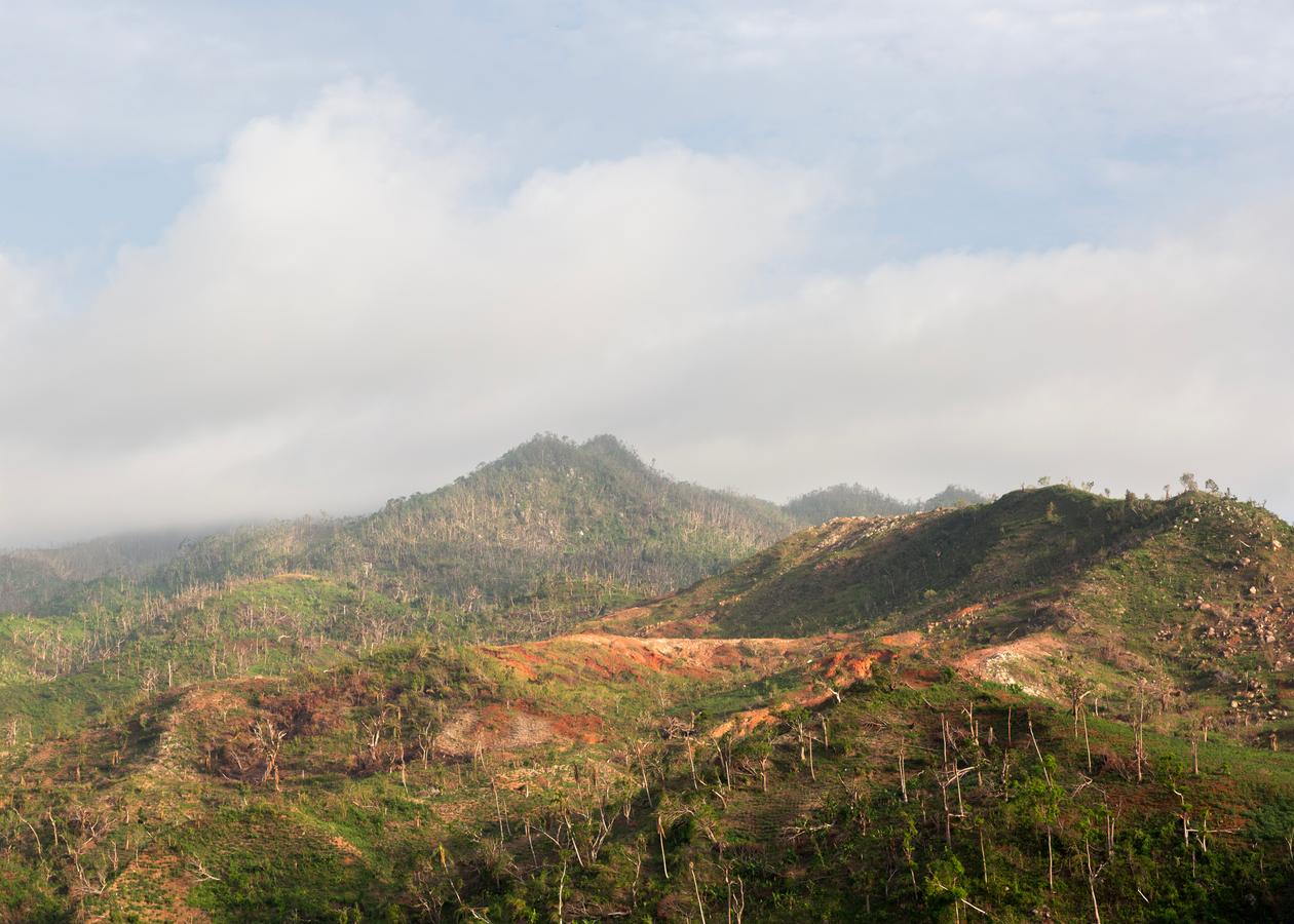 A Mayotte, les dégâts environnementaux « irréversibles » laissés par le ...