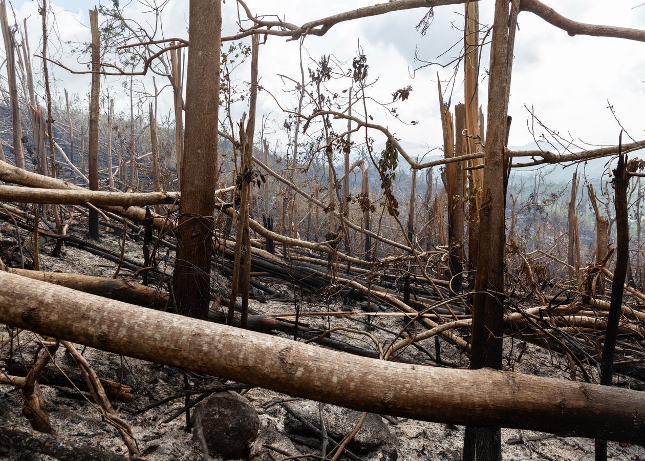 A Mayotte, les dégâts environnementaux « irréversibles » laissés par le ...