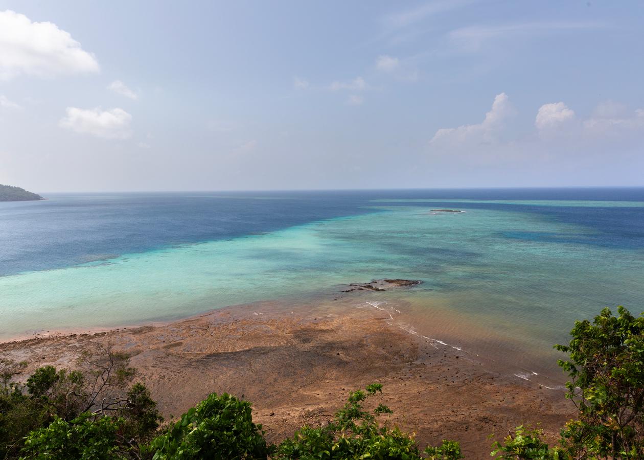 A Mayotte, les dégâts environnementaux « irréversibles » laissés par le ...