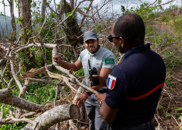 A Mayotte, les dégâts environnementaux « irréversibles » laissés par le ...
