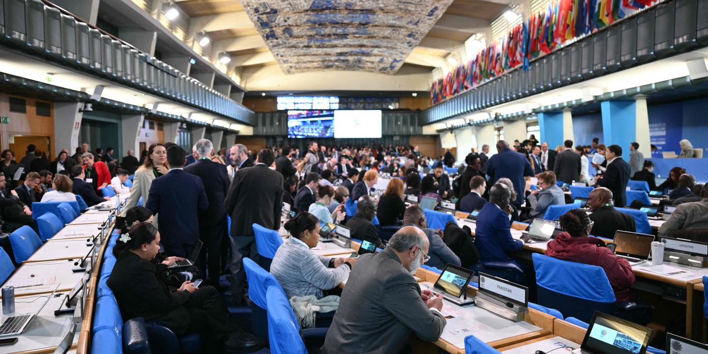 COP16 sur la biodiversité : à Rome, un accord arraché de justesse pour ...