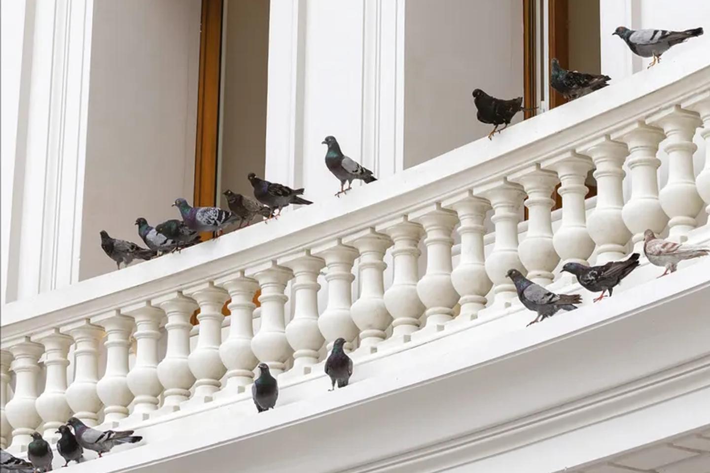 « La Nuit sur commande », le nouveau roman de Christine Angot ...