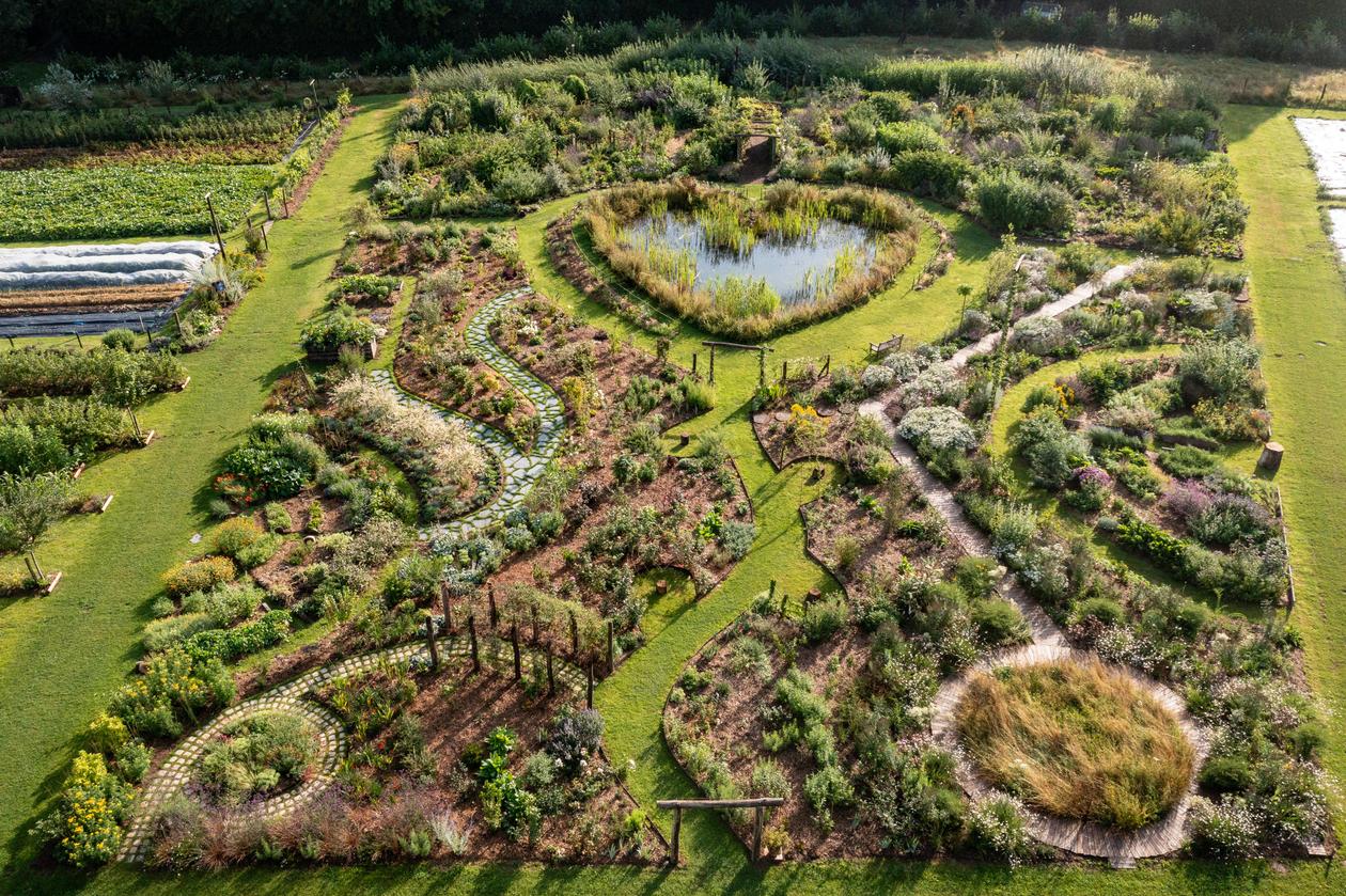 « Ce n’est pas à moi, tout cela, les animaux sont chez eux » : dans la ...