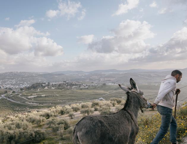 In the West Bank, the archaeological site of Sebastia under Israeli control