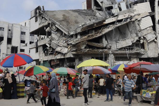 Fatima Hassouna, photojournaliste et chroniqueuse du quotidien à Gaza ...