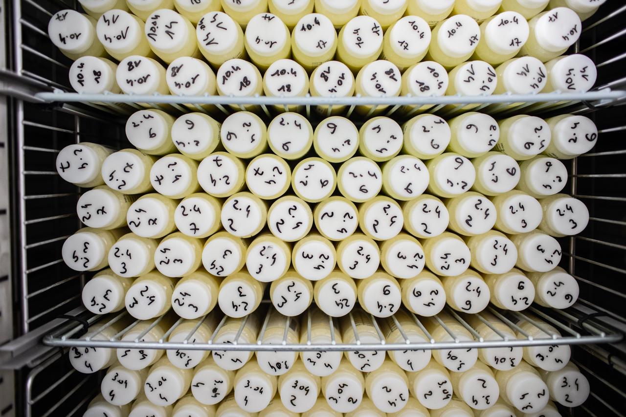 A l’hôpital Necker, dans la fabrique du « lait de femme » pour sauver ...