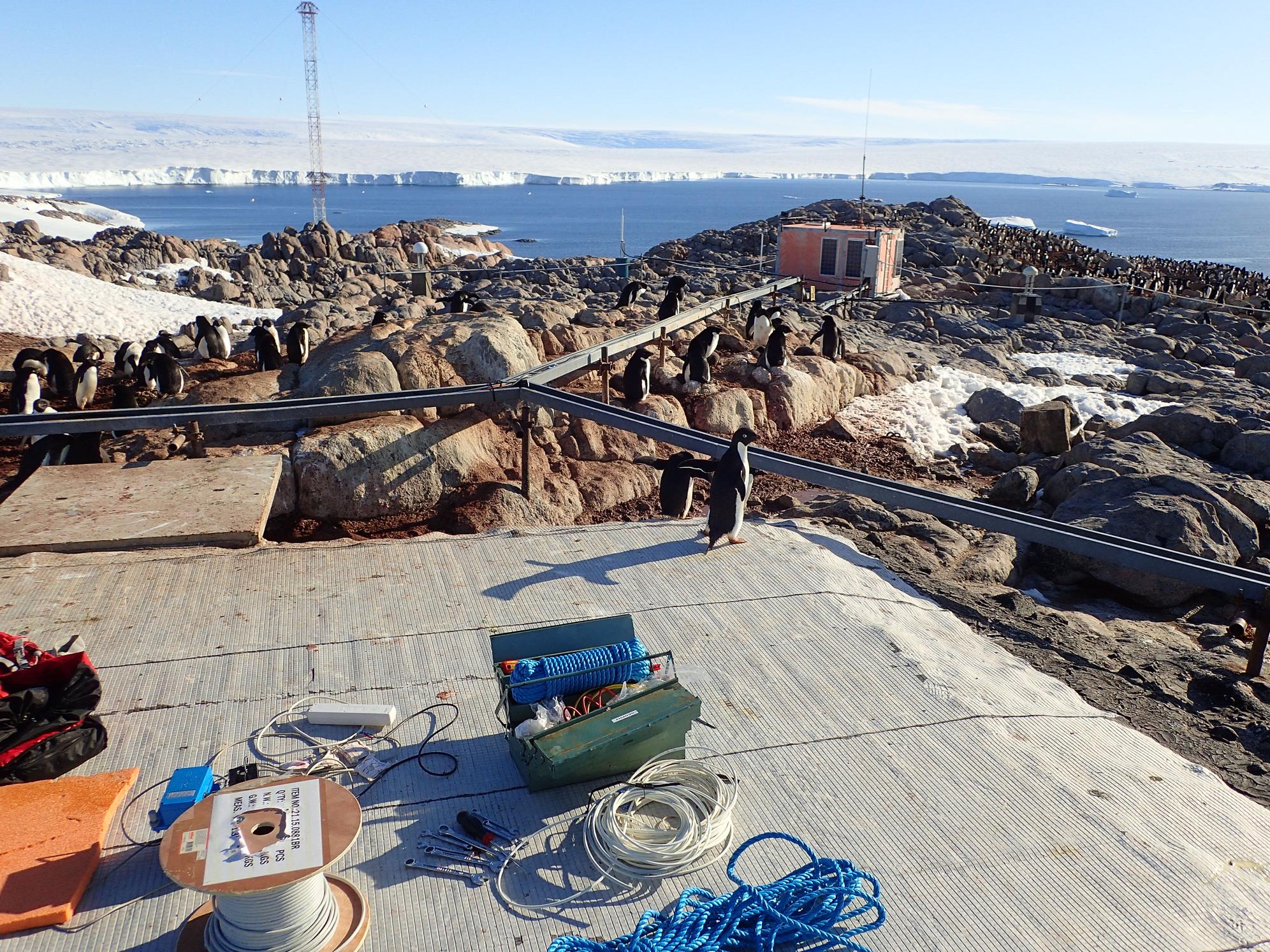 L’Institut polaire français, en crise, rejoint l’Ifremer