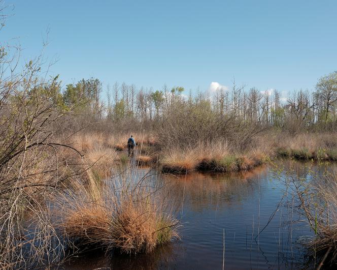 A Hostens, en Gironde, une réserve biologique pour imaginer l’avenir