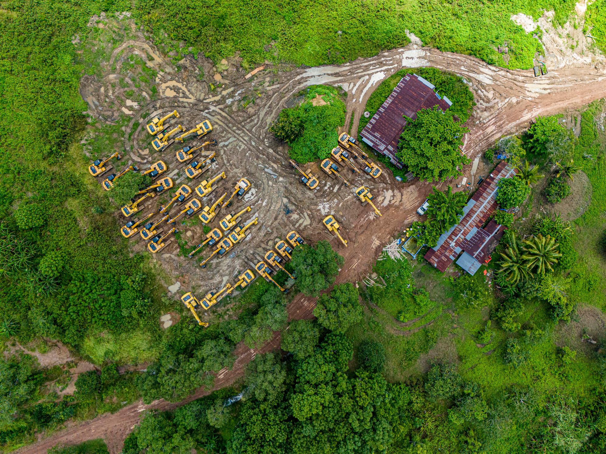 En Indonésie, « le plus grand projet de déforestation au monde » menace ...