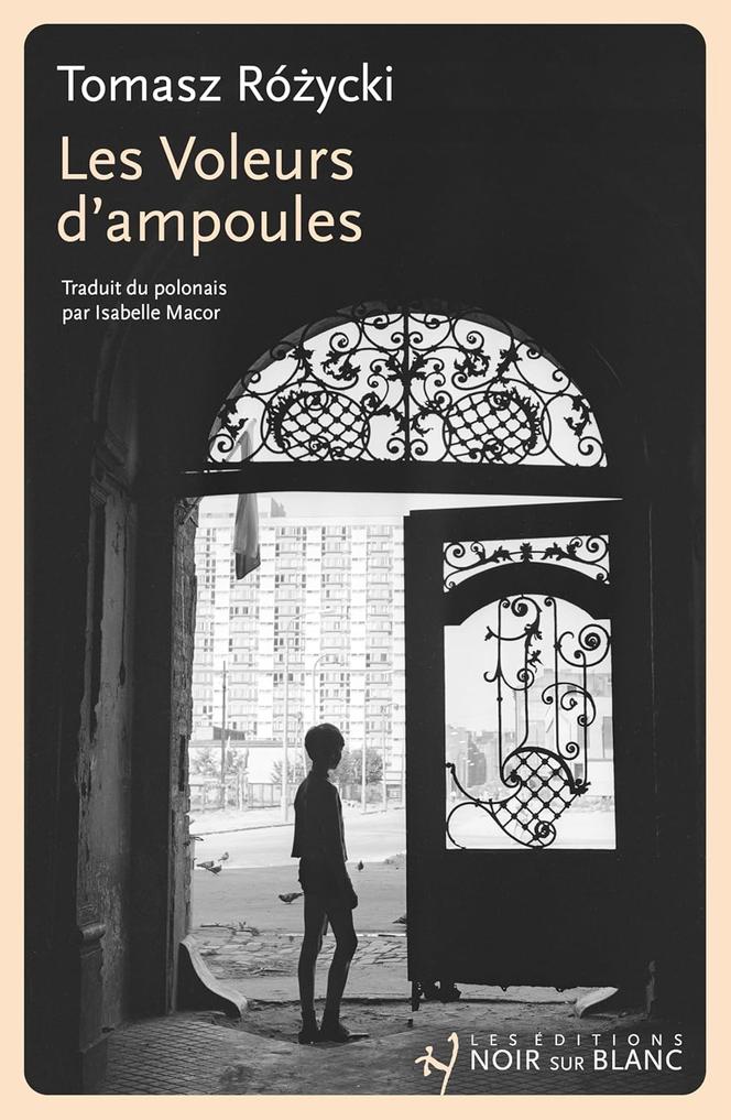 « Les Voleurs d’ampoules », de Tomasz Rozycki : esprits frondeurs dans ...