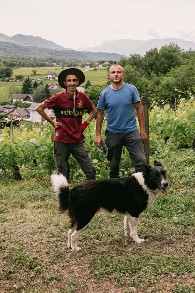En Savoie, le vigneron, sa fille et une cuvée pour leurs ouvriers sans ...