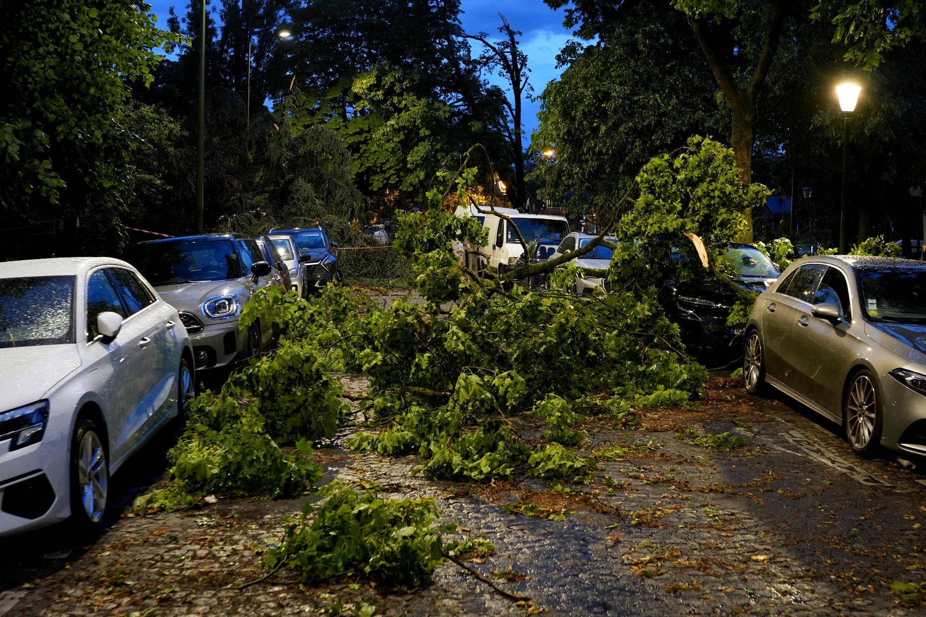 Tonnerre, rafales de vent et arbres déracinés : les images des orages qui ont traversé la France