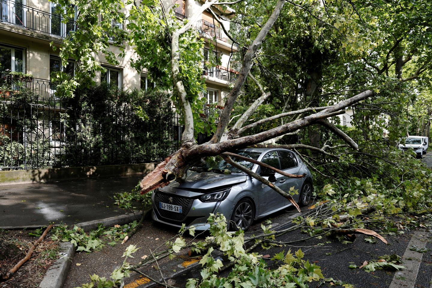Tonnerre, rafales de vent et arbres déracinés : les images des orages qui ont traversé la France
