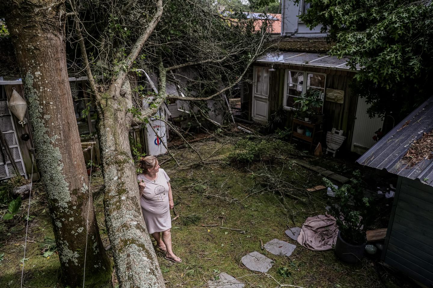 Tonnerre, rafales de vent et arbres déracinés : les images des orages qui ont traversé la France