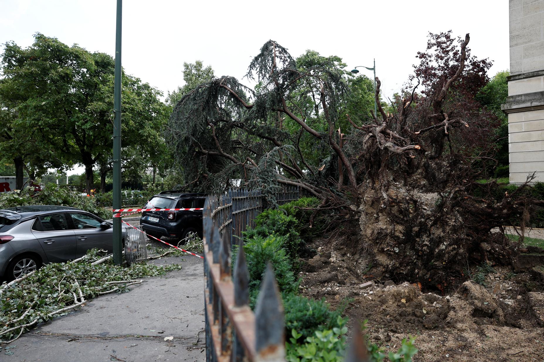 Tonnerre, rafales de vent et arbres déracinés : les images des orages qui ont traversé la France