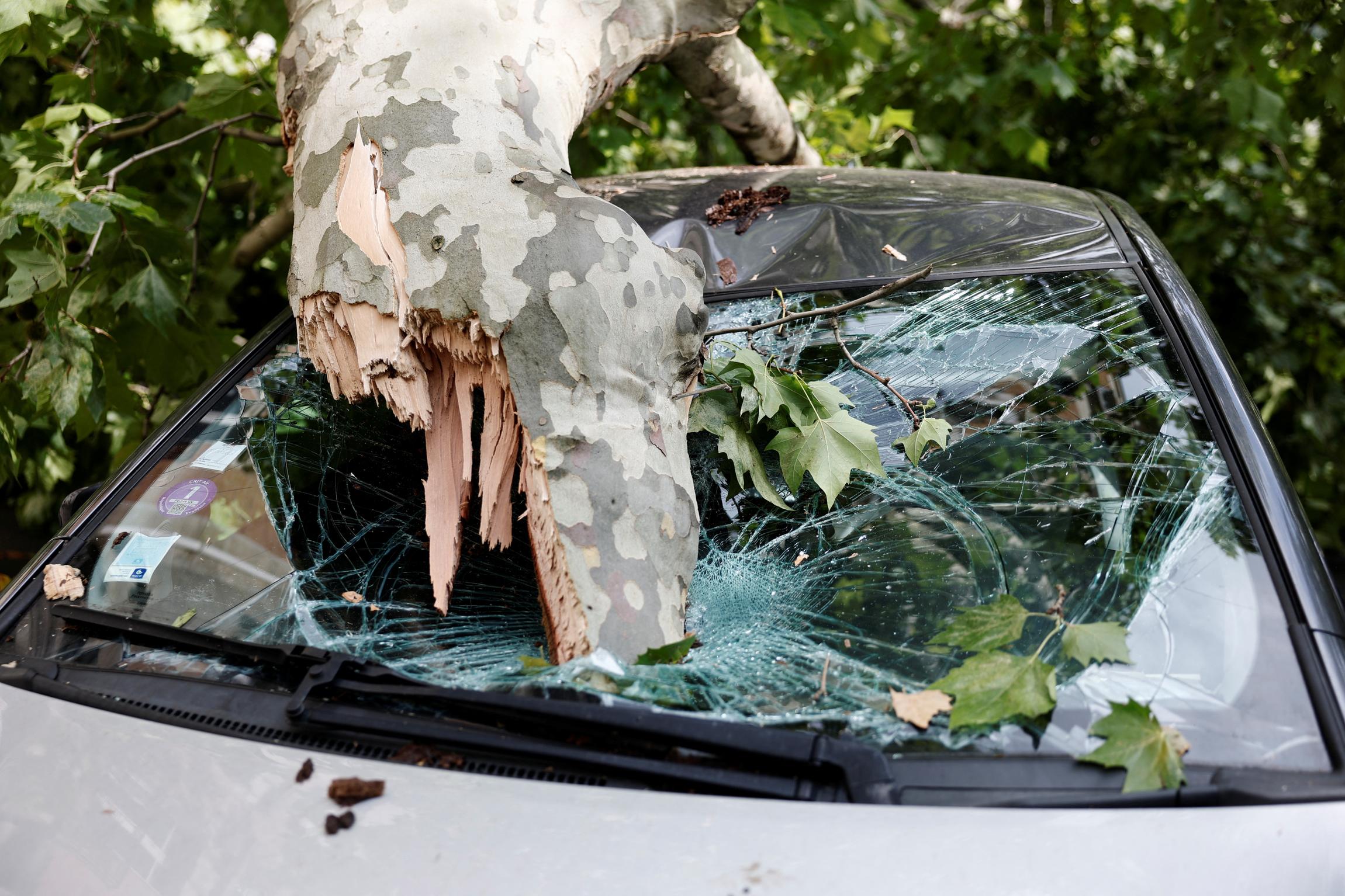 Tonnerre, rafales de vent et arbres déracinés : les images des orages qui ont traversé la France