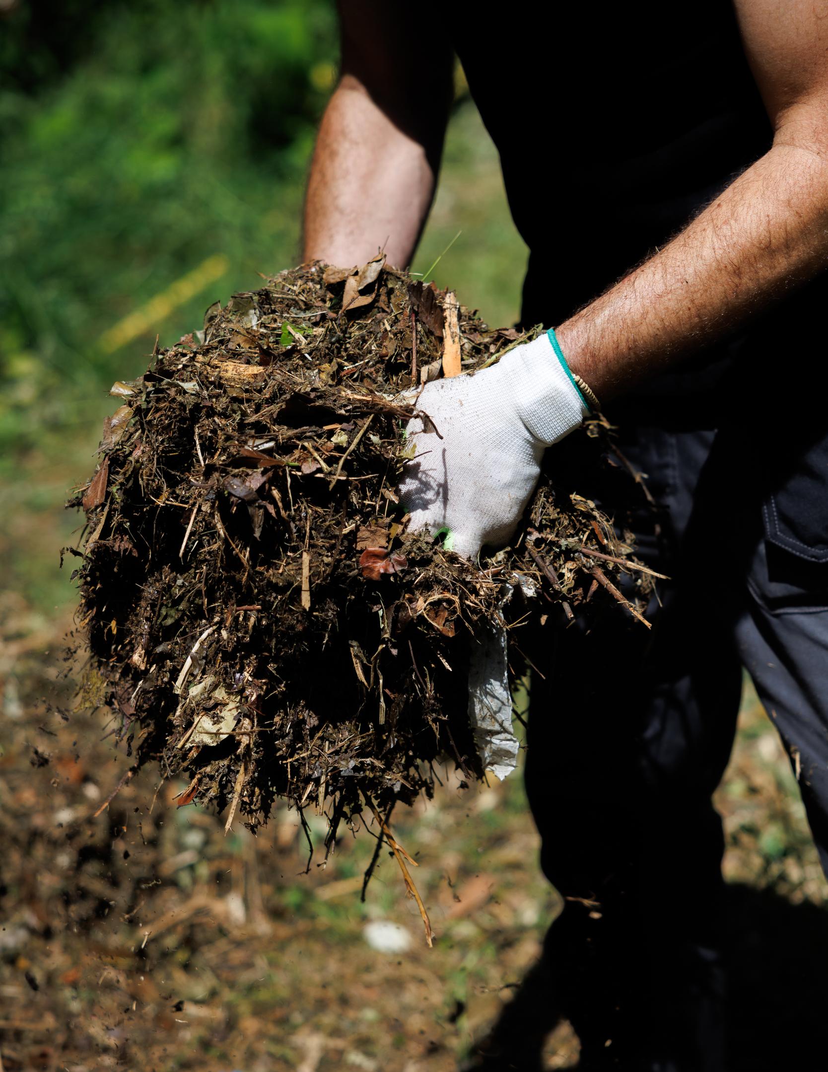Dans l’Essonne, le compostage humain en phase de test animal