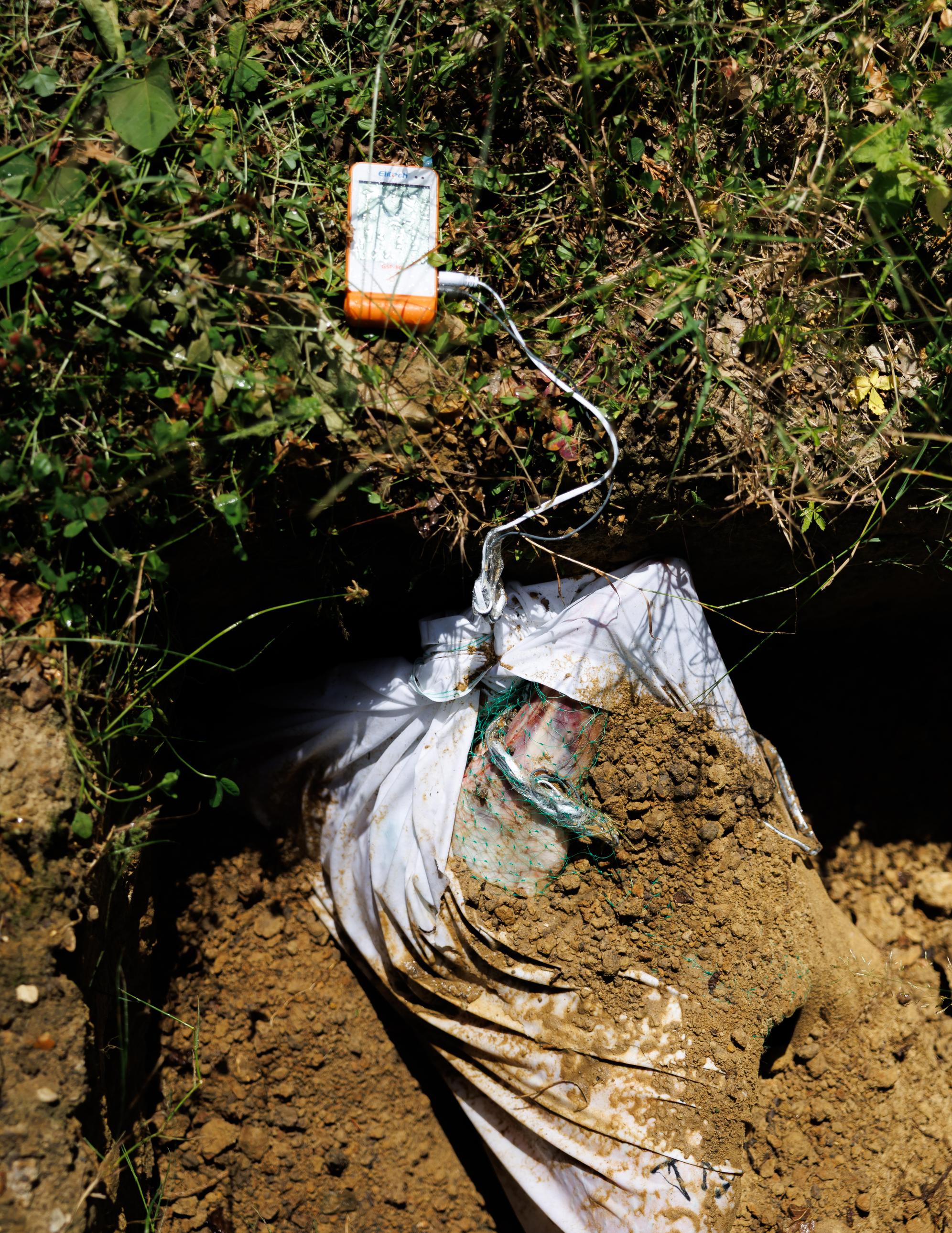 Dans l’Essonne, le compostage humain en phase de test animal