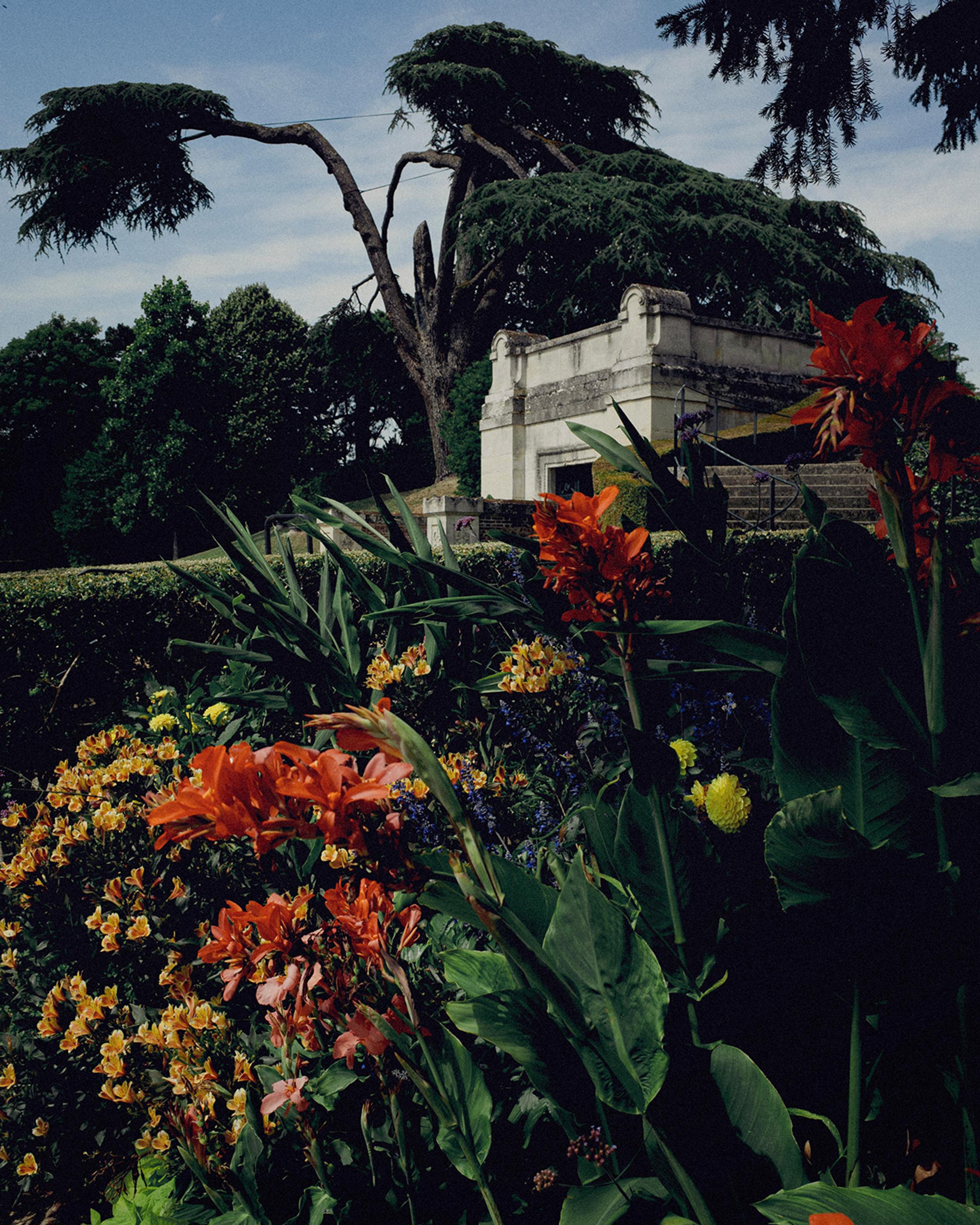La « comtesse rouge » et le tombeau interdit : les cendres d’une ...