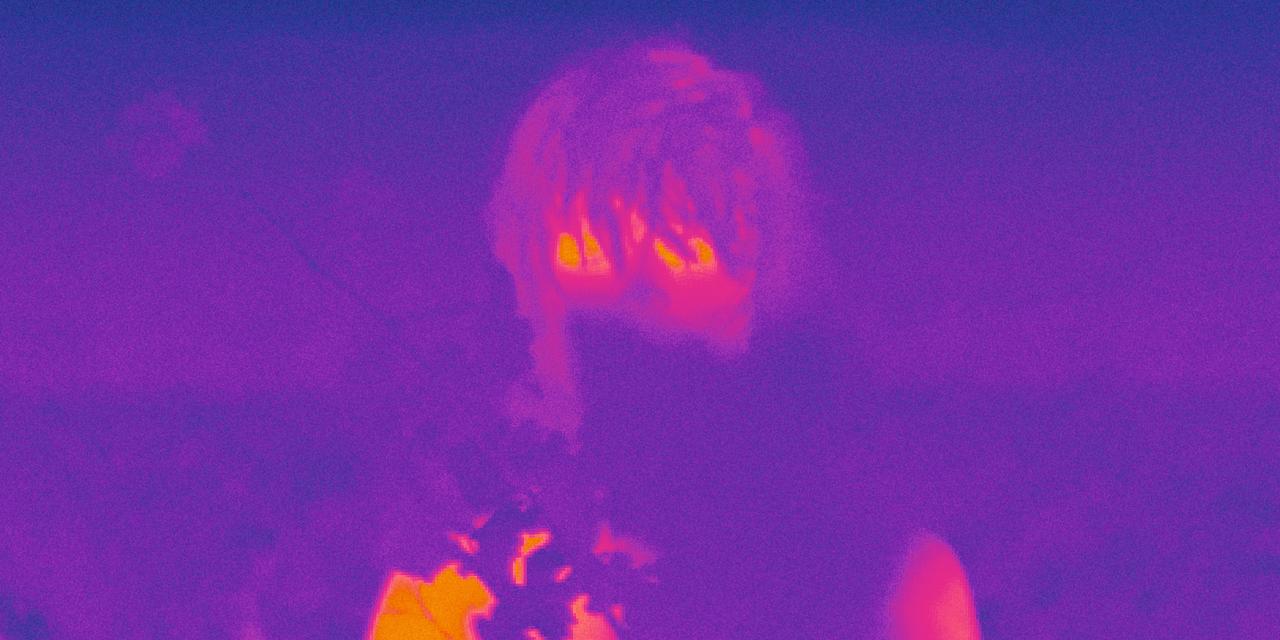 Photographies vitales : une sélection de livres de photos