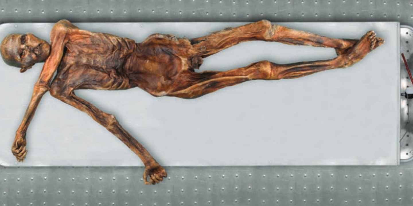 Ötzi, l’homme des glaces : quand la science révèle les secrets d’un ...