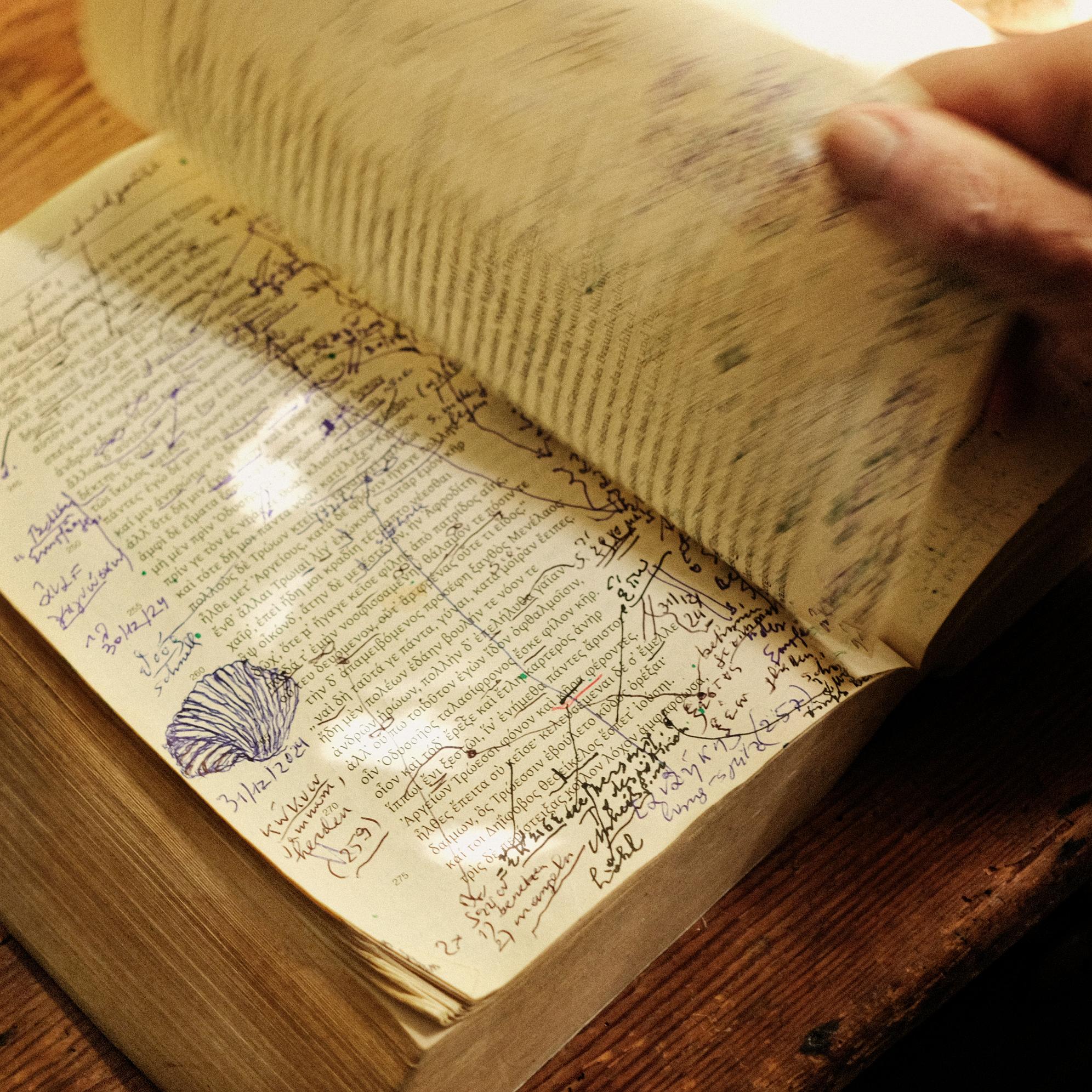 Novelist Peter Handke: 'To die in the middle of writing a book, that ...