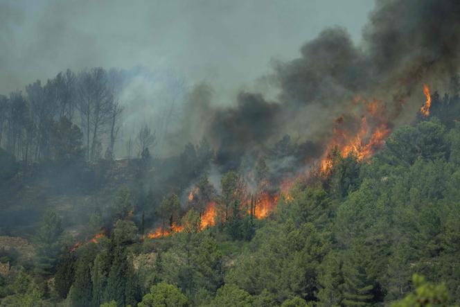 Incendie dans l’Aude : un mort et neuf blessés, plus de 12 000 hectares ravagés, l’autoroute A9 ...