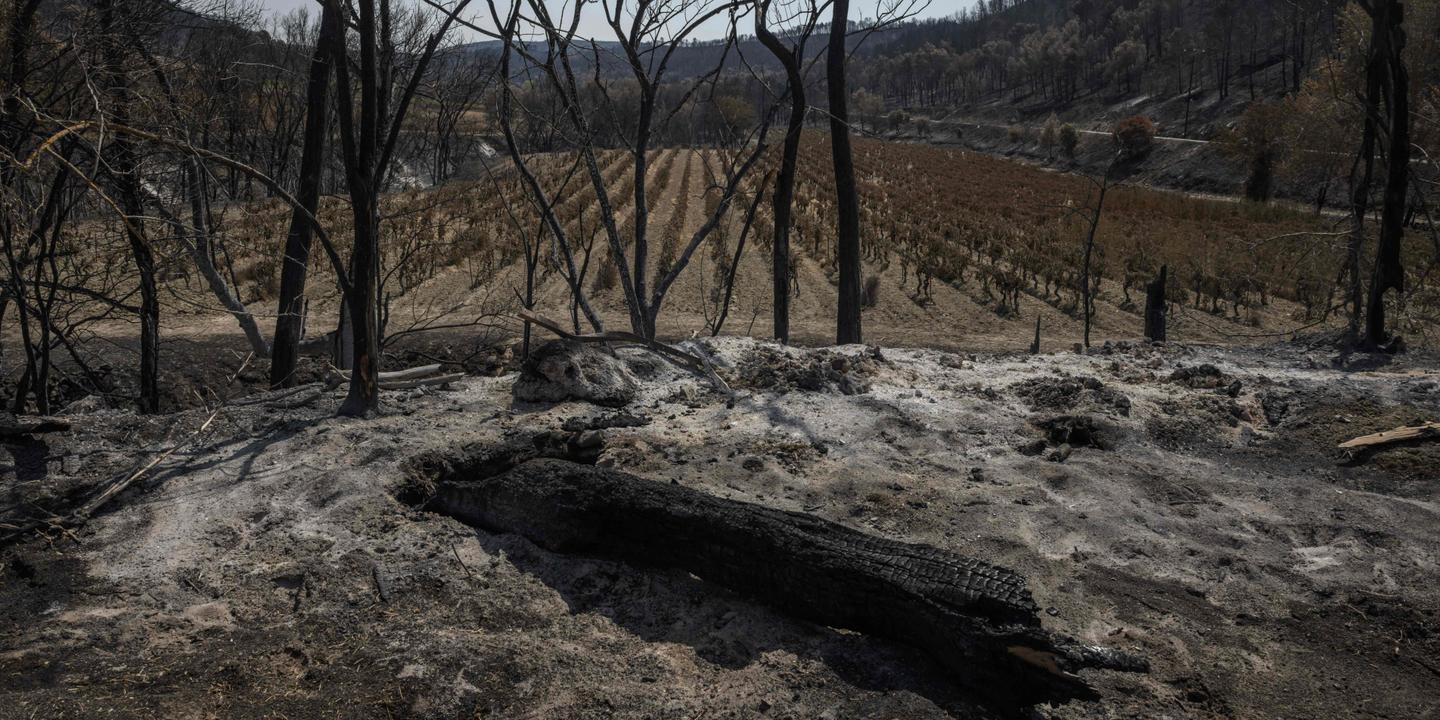 Incendie dans l’Aude : le week-end du 15 août sous un « très haut ...