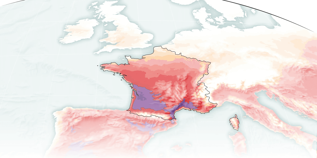 Canicule en France : comprendre la seconde vague de chaleur de l’été ...