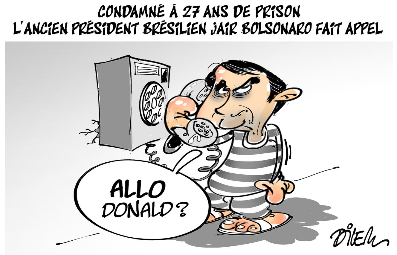 Vu par… Dilem