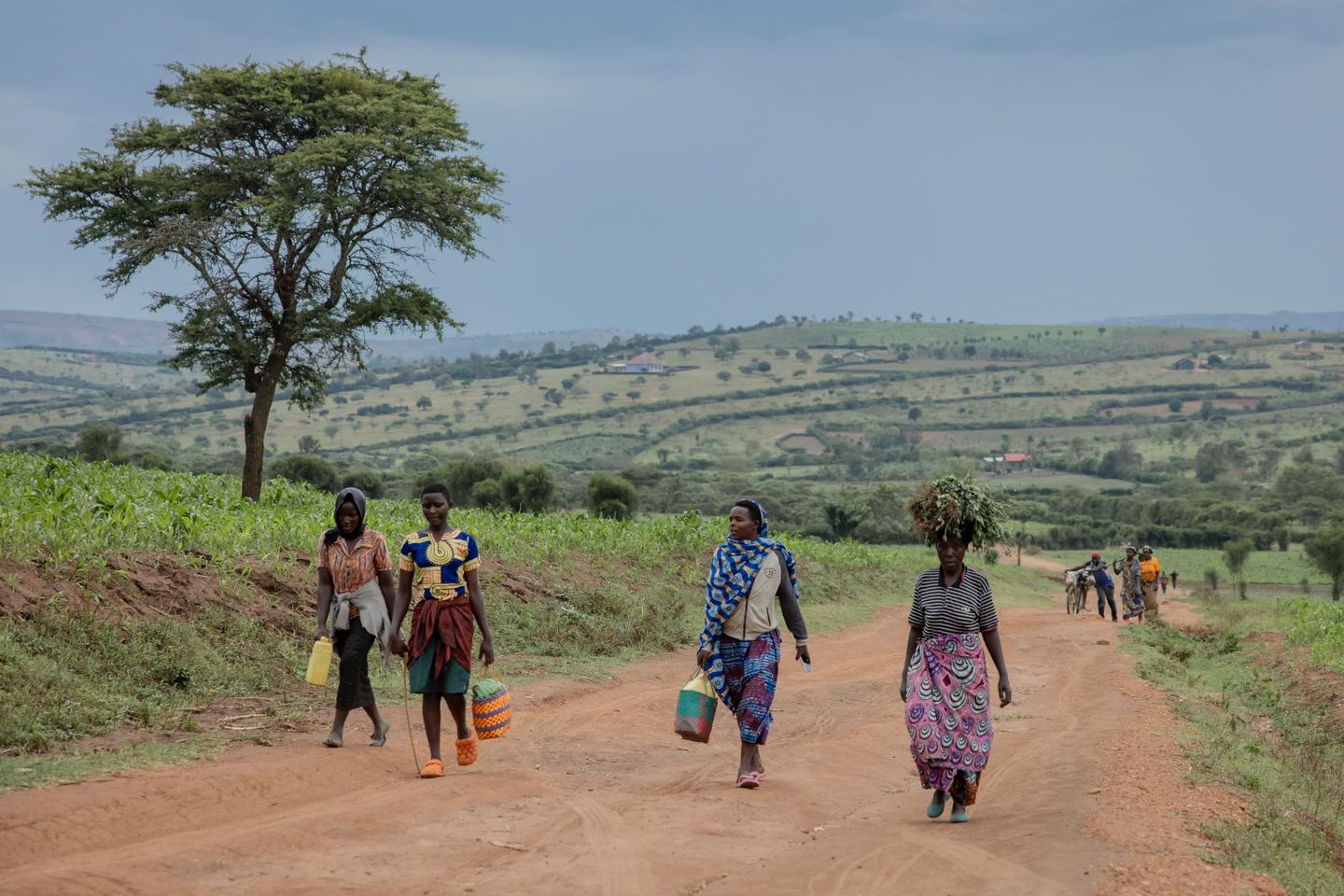 Mutual Health Insurance: Paving the Way for a Rwanda Free from Health ...