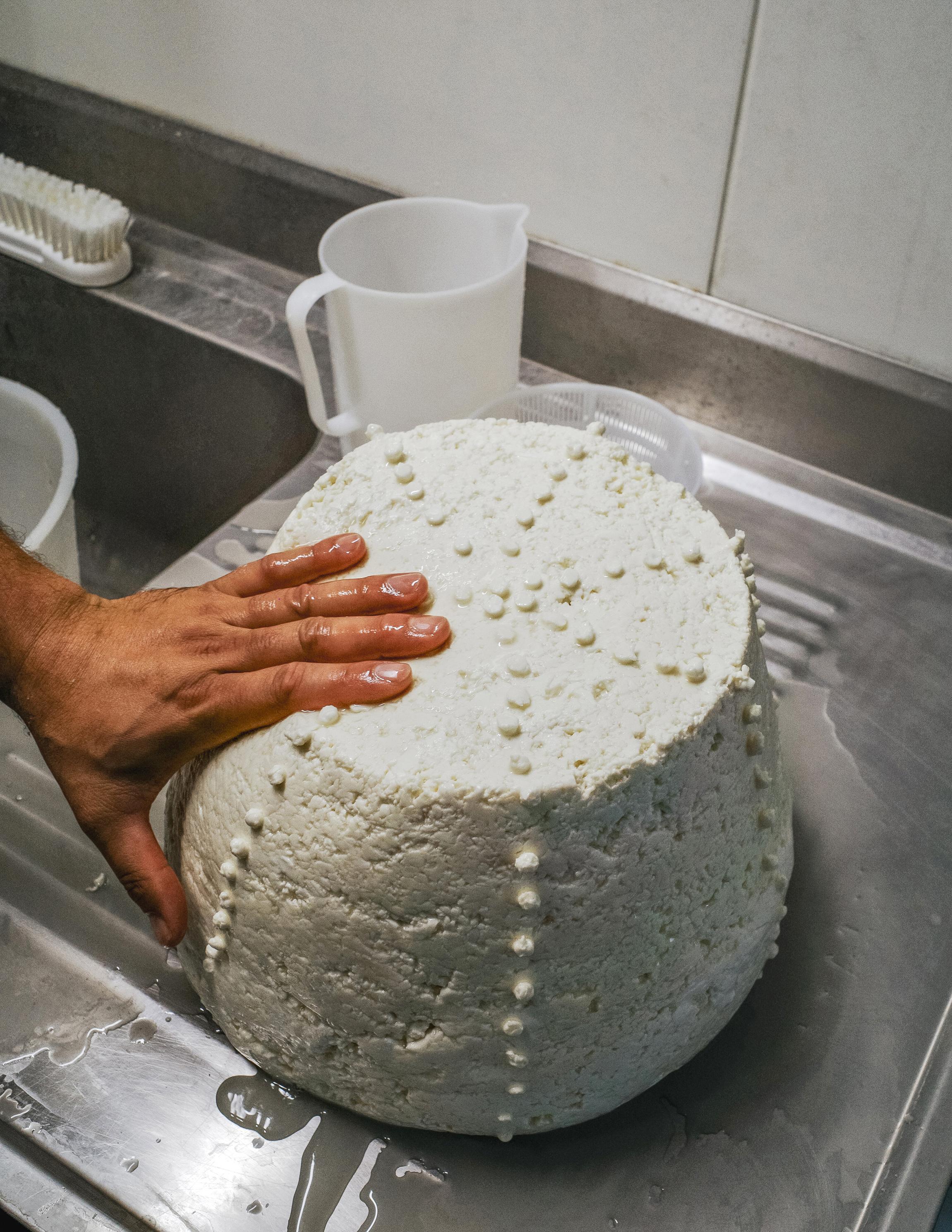 La « mozzarella di bufala » dans tous ses états : fraîche, frite ou fumée